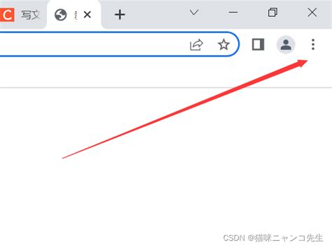 selenium 谷歌驱动（chromedriver）安装教程 csdn博客