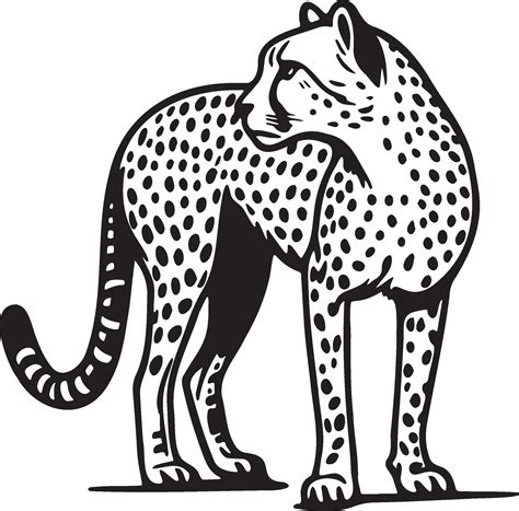 Cheetah Sketch Drawing 35858936 Vector Art At Vecteezy