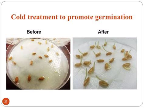 Speed Breeding And Its Implications In Crop Improvement Pptx