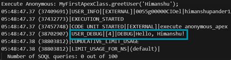 How To Write Apex Class And Debug It Sfdc Insights