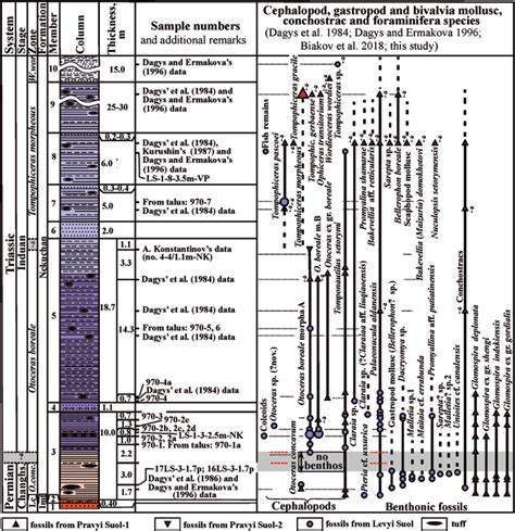 Fossil Correlation Chart