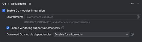 Build Constraints And Vendoring Goland Documentation