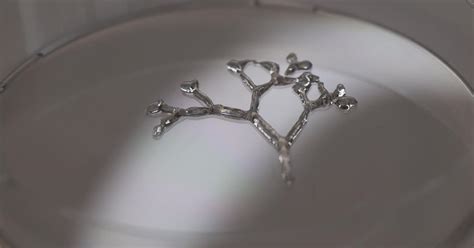 Bioprinting With Placenta Derived Material International Sciencelink