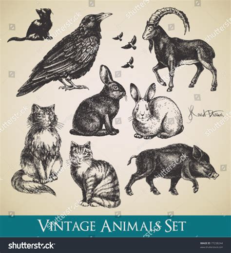 Cat Bird Etching Over 114 Royalty Free Licensable Stock Illustrations