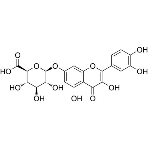 Quercetin 7 Glucuronide Quercetin 7 O β Glucuronide Quercetin
