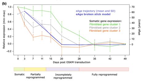 Partial Reprogramming Deep Dive The Good Bad And Partially Unresolved — Ada Nguyen