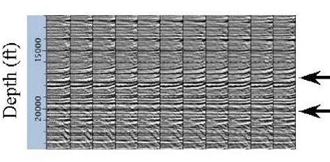 Pre Stack Depth Migrated Gathers Supporting The Vsp Derived Negative