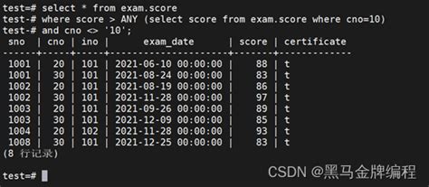 Toast行外存储、（集合运算、子查询、伪列）、单行与多行函数toast表 Csdn博客