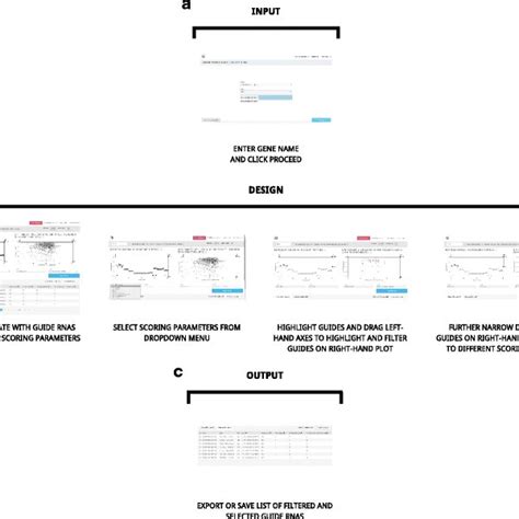 Guide Picker Workflow A First An Ensembl Gene Name Is Provided From