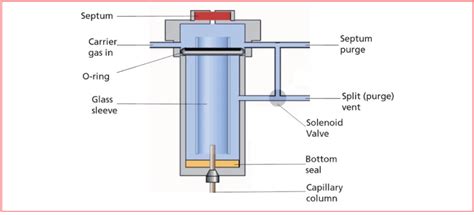 Optimizing Splitless Injections In Gas Chromatography Part I What It Is And What Happens When