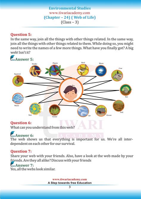 Ncert Solutions For Class 3 Evs Chapter 24 In Hindi And English Medium