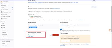 在centos系统上部署gitlabrunner并配置cicd自动项目集成gitlab169 通过runner配置cicd部署 Csdn博客