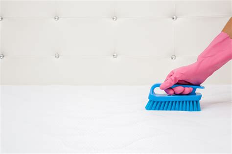 전문적으로 블루 브러시와 함께 새로운 현대적인 흰색 매트리스 청소 고무 보호 장갑에 직원 손 일반 정리입니다 상업적인 청소 회사입니다 공간에 복사 합니다 텍스트 또는 로고에