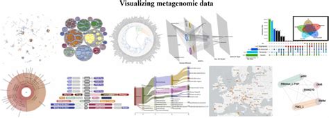 Visualizing Metagenomic And Metatranscriptomic Data A Comprehensive Review Computational And
