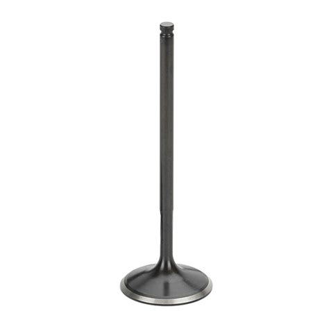 Supertech Mazda Fsprotege 20lts Intake Valve 1mm Ss Ev Nz