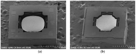 Modelling And Experimental Verification Of Step Response Overshoot Removal In Electrothermally