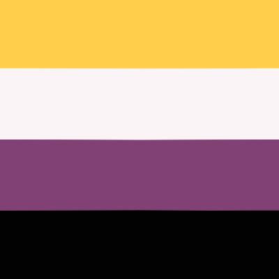 Nonbinary Pride Flag Color Picked From Barbie Bro Tumbex