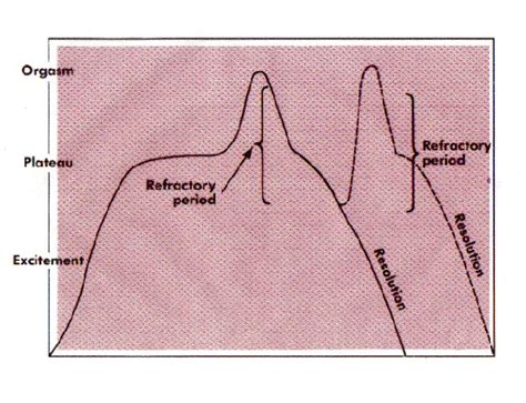 Lecture Notes Biology 203