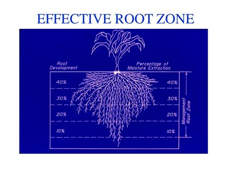 drought irrigation planning ppt download