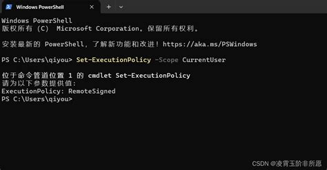 VS Code 使用cnpm下载包失败