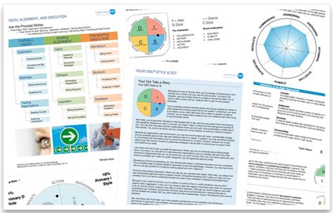 DiSC Videos For Understanding Everything DiSC Profiles