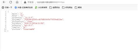 未授权访问漏洞 rocketmq未授权访问 csdn博客