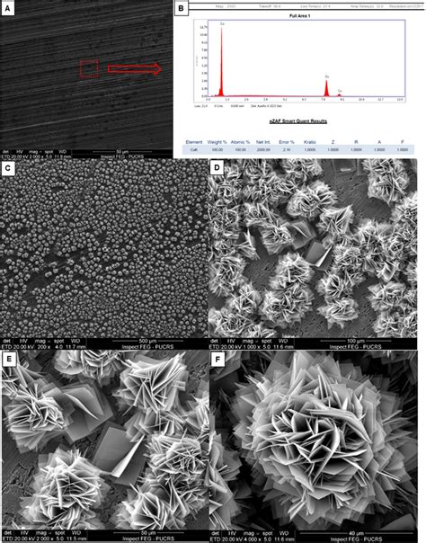 Copper Film Surfaces Observed By Scanning Electron Microscopy Copper Download Scientific