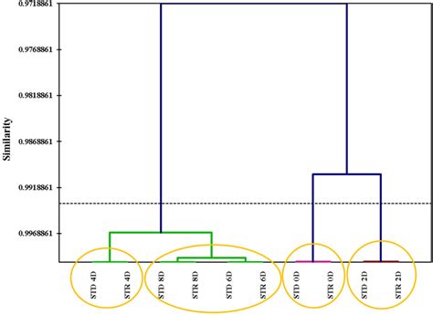 Agglomerative Hierarchical Clustering Analysis During Different Download Scientific Diagram