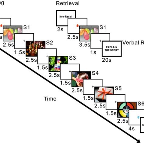 The Experimental Design In Experiment 1 During Encoding 100 Different Download Scientific
