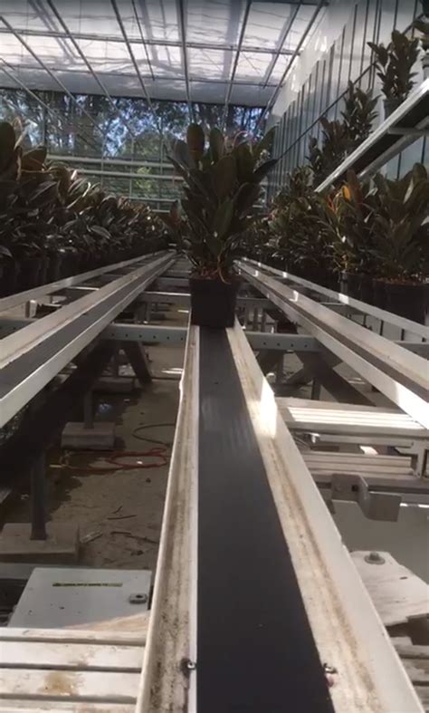 Buffer Sorting System With Buffer Belts Opti Systems Heto