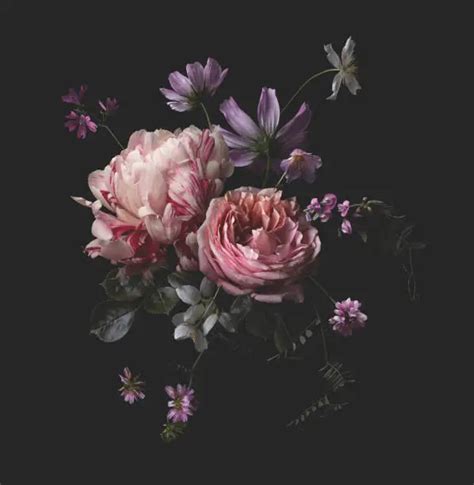 500 꽃 사진 Hd Unsplash에서 무료 이미지 다운로드