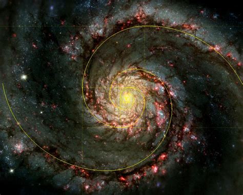 232 Best Images About Fascinating Fibonacci Proof Of Gods Intelligent