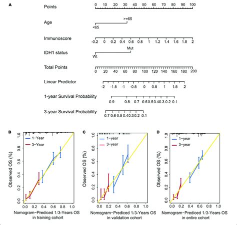 Quantitative Prediction Of Os In Patients With Gbm A Nomogram To