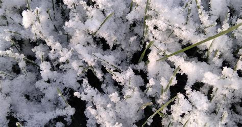 Матеріали до уроку з української мови Порядкові числівники з використанням Щоденних 5