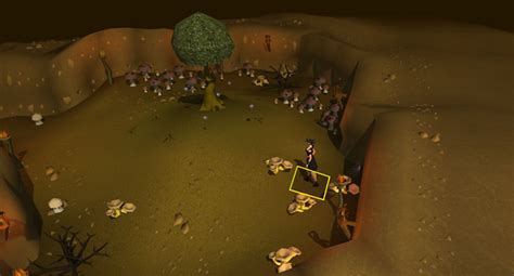 How To Get A Dramen Staff In Old Babe RuneScape FandomSpot