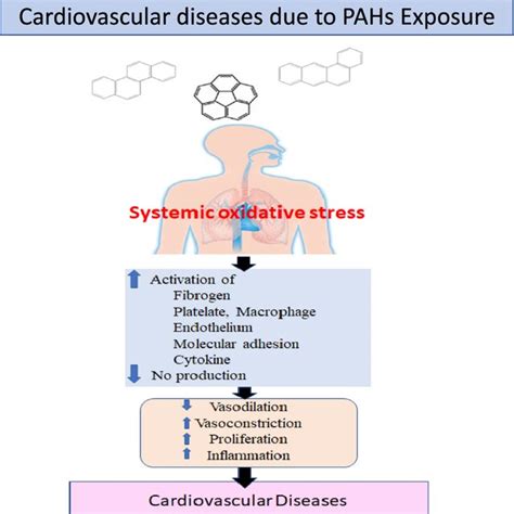 Cardiovascular Diseases Due To Pah Exposure Adapted From Mallah Et