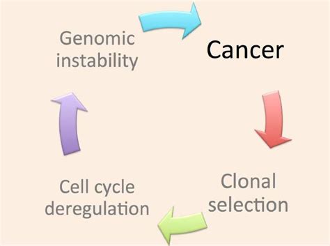 Some Factors Contributing To Cancer Circular Causality Cancer Is Known Download Scientific
