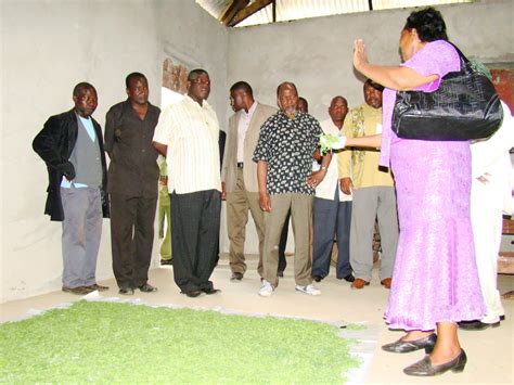 Inawezekana Mti Wa Mlonge