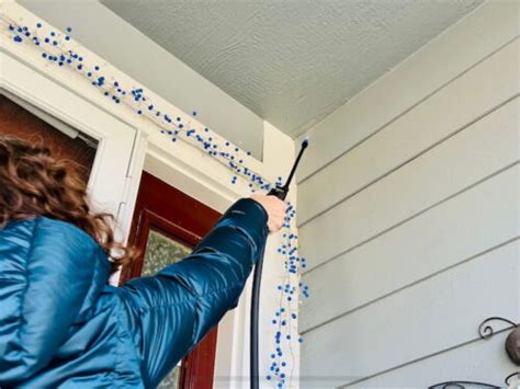 Natural Pest Control How To Get Rid Of Bugs Without Harsh Chemicals Chas Crazy Creations