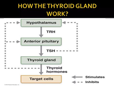 Hyperthyroidism Pptx