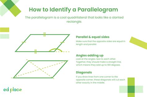 What Is A Quadrilateral Examples And Practice Questions