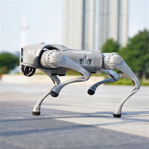 Unitree Go2 Robot Dog Quadruped Robotics For Adults Embodied Ai Go2