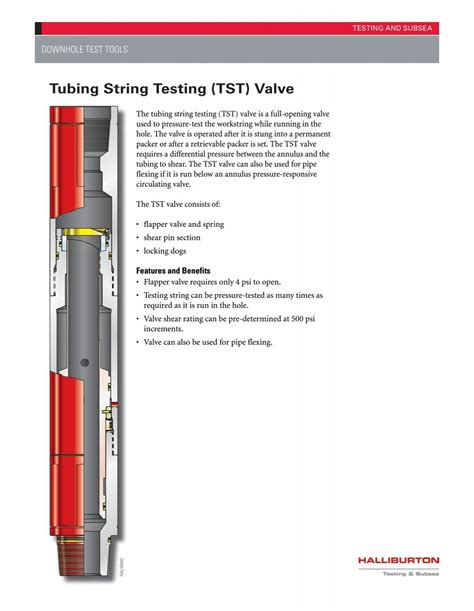 Tubing String Testing Tst Valve Halliburton