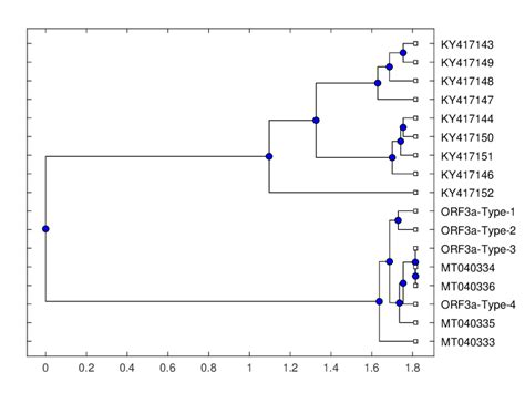 Phylogenetic Relationships Among The Seventeen Cov Genomes Based On The Download Scientific
