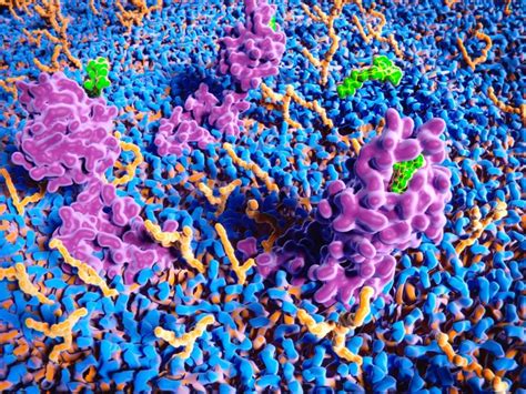 Researchers Find Another Plant That Contains Cannabinoids Greenstate
