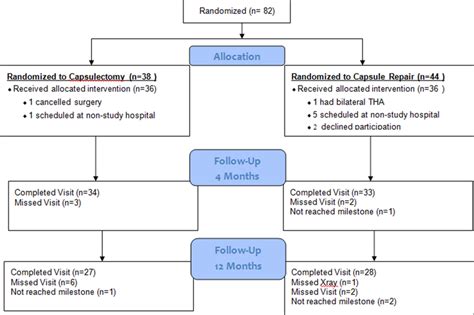Consort Enrollment Flow Diagram Download Scientific Diagram