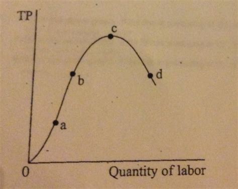 Solved 4 Refer To The Above Graph It Shows The Total