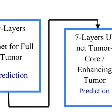 Proposed Flowchart For Brain Tumors Segmentation Download Scientific Diagram