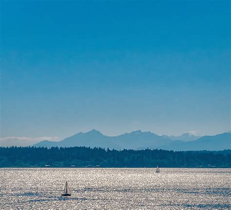 사람 사이에 물길이 튼다