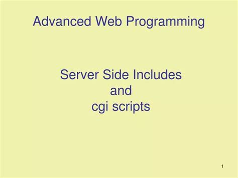 ppt server side includes and cgi scripts powerpoint presentation